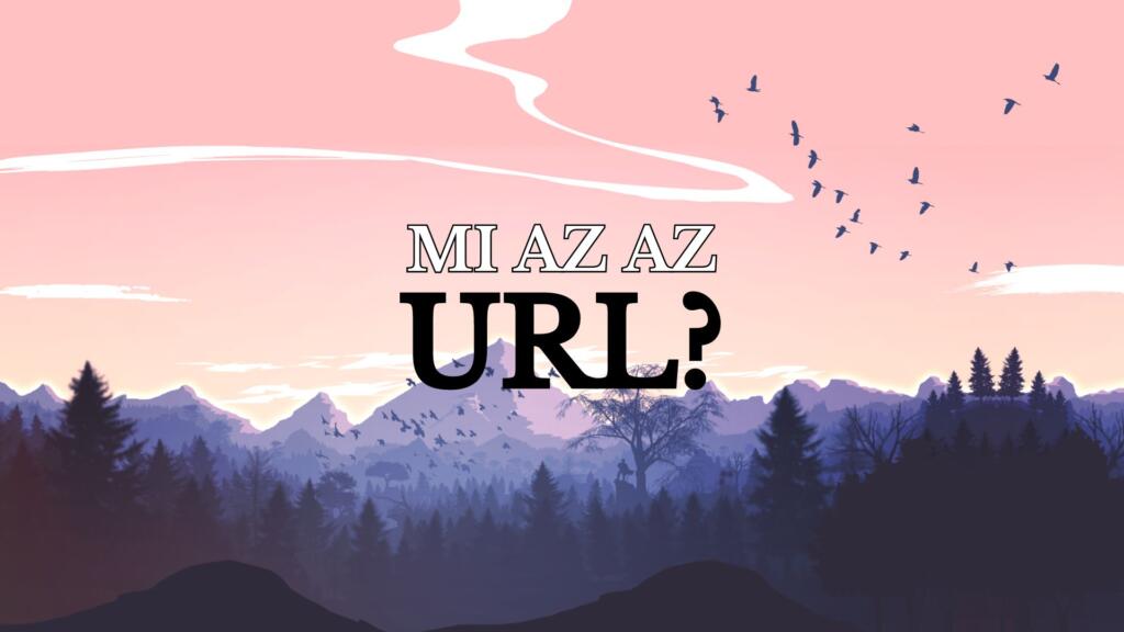 Mi az az URL cím? Az URL felépítése és típusai - Linkcsomag.hu